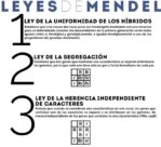 ¿Qué son las leyes de Mendel? - Leyes de Méndel